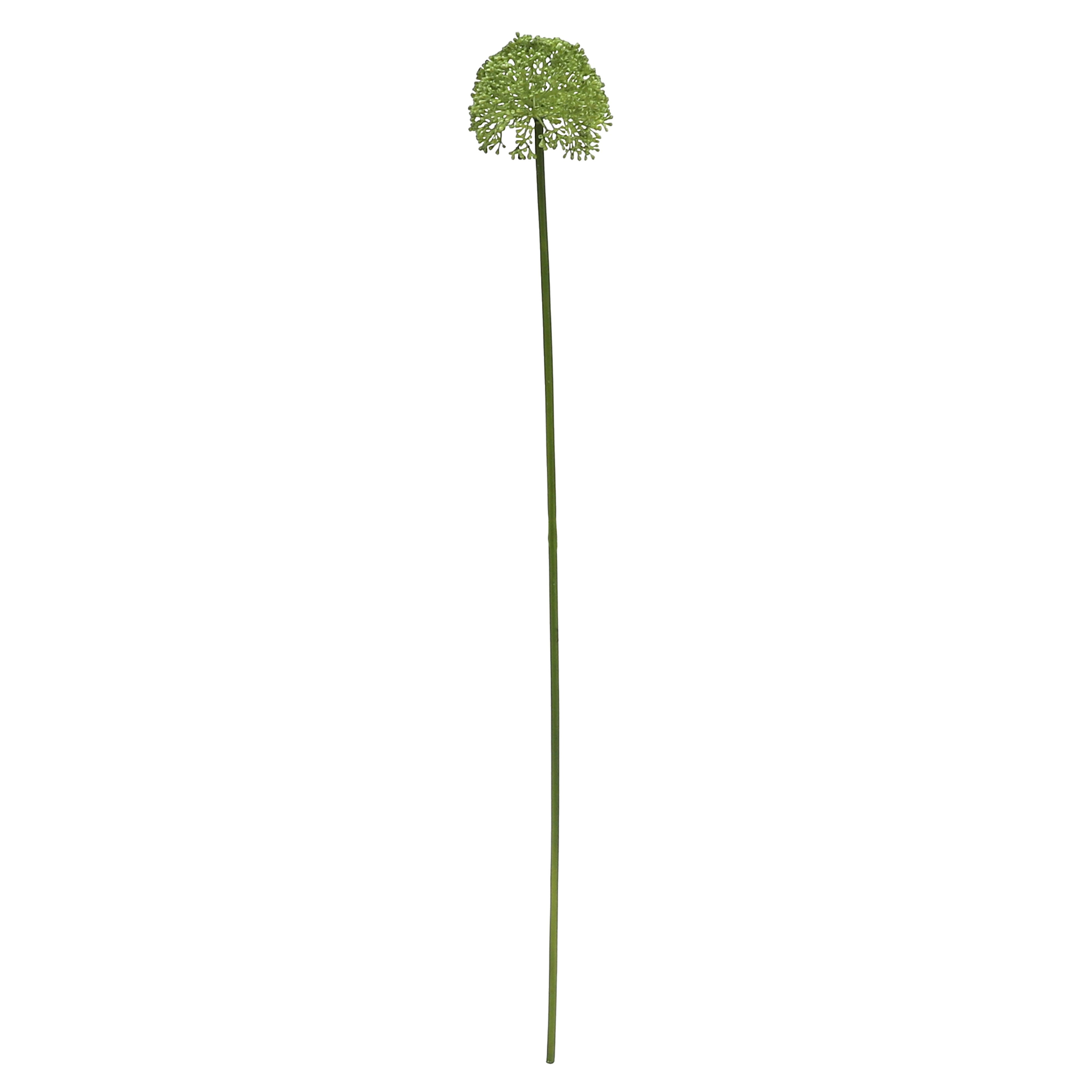 Buddleia Stem – A.W. Smith & Sons Gift & Homewares