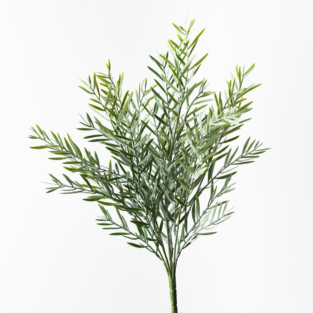Acacia Leaf Bush – A.W. Smith & Sons Gift & Homewares