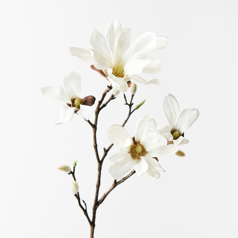 Magnolia Japanese Spray – A.W. Smith & Sons Gift & Homewares